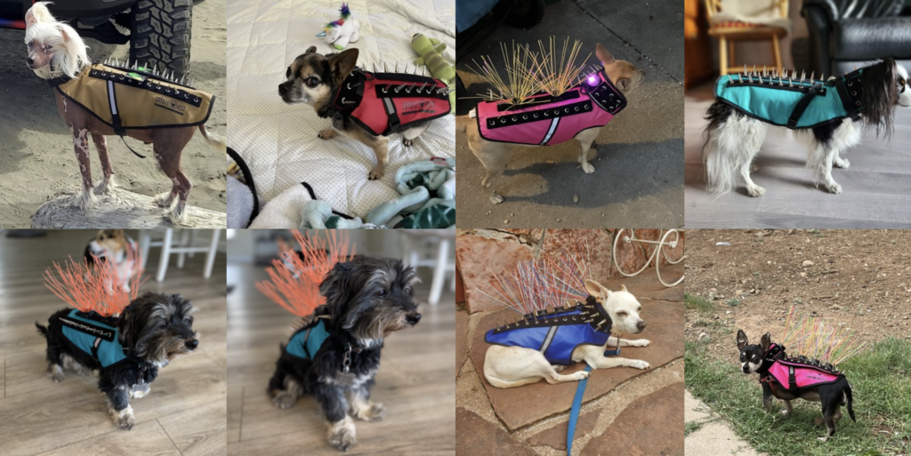 THIS CAN SAVE YOUR DOGS LIFE AND YOU NEED IT RIGHT NOW | Groomed LA