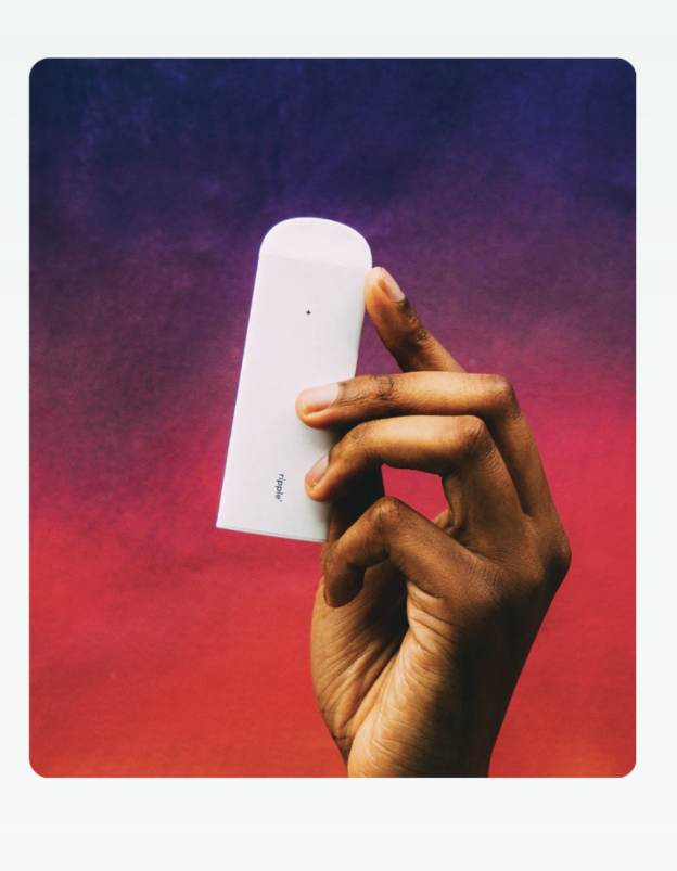 Groomed LA | The Beautiful Life Awaits